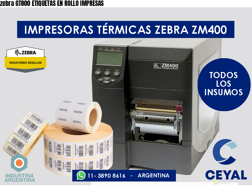 zebra GT800 ETIQUETAS EN ROLLO IMPRESAS - Rollos Zebra